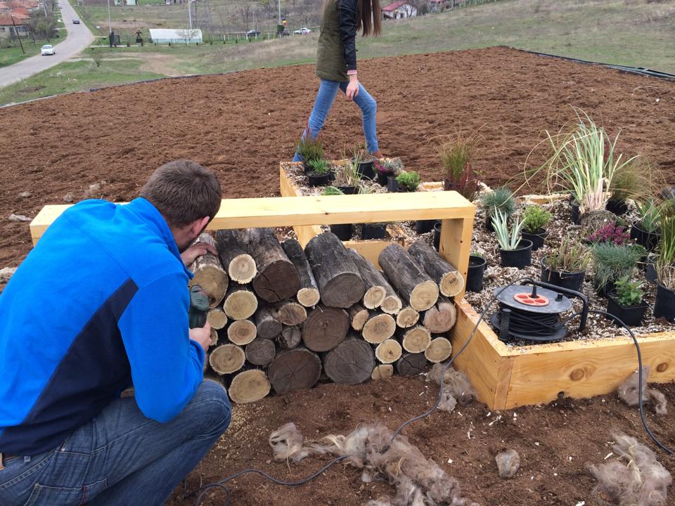 Cob Village Berca: Complex turistic amenajat din case de lut cu ...